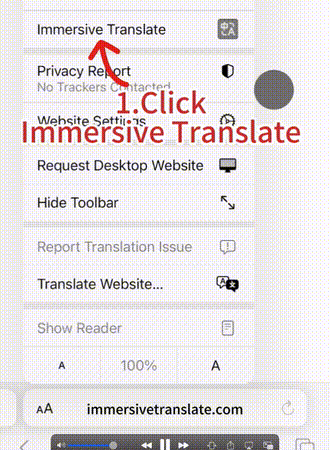 Setup - Immersive Translate